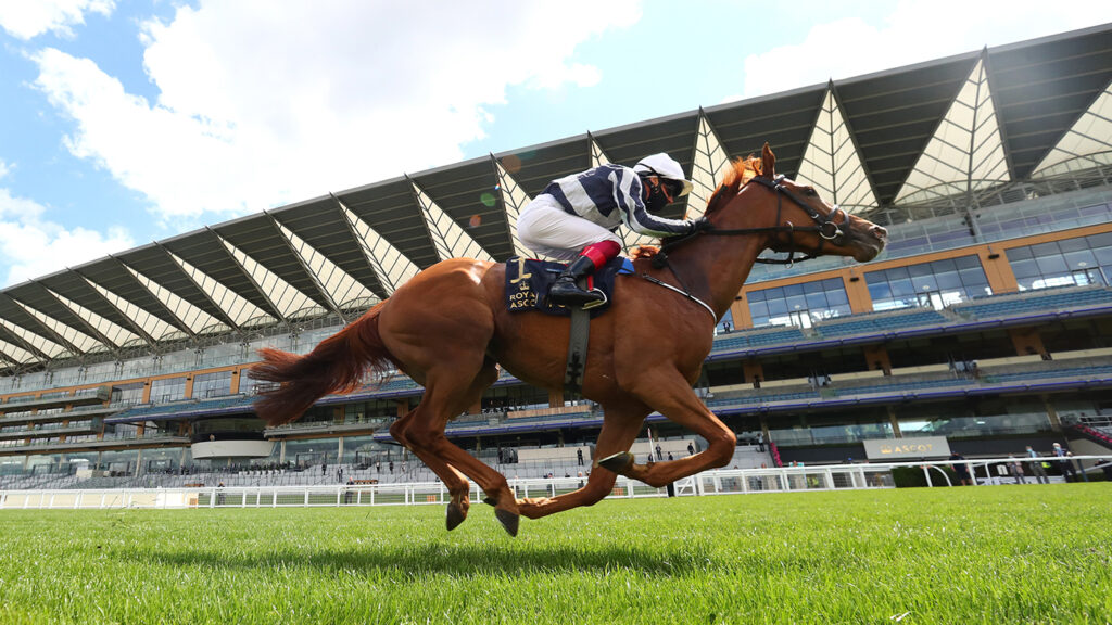 Venetian Sun And Havana Anna Set To Light Up Royal Ascot Commonwealth Cup